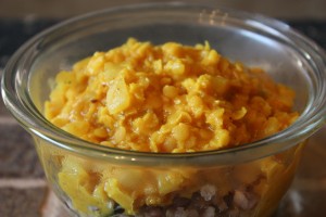 Standard Process Cleanse Recipes