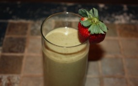 Standard Process Cleanse Recipes