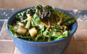 Standard Process Cleanse Recipes