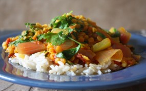 Standard Process Cleanse Recipes