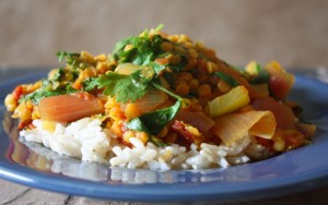 Standard Process Cleanse Recipes