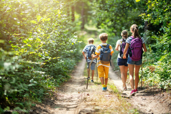 9 Benefits of Forest Bathing & How To Do It