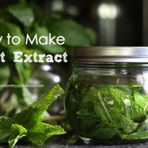 Mint Extract Recipe