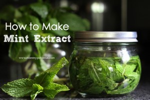 Mint Extract Recipe
