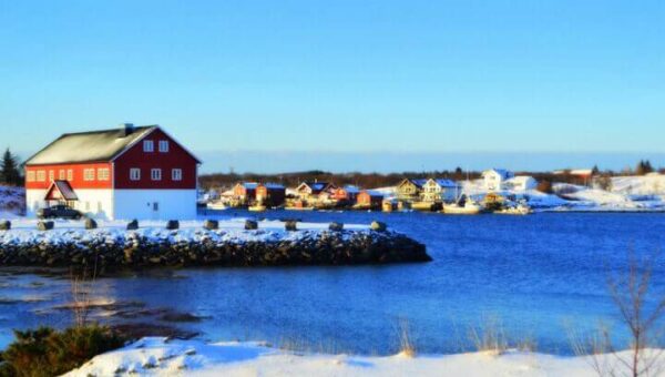 Review: Raw, Extra Virgin Cod Liver Oil