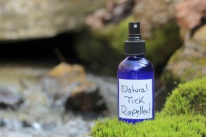 Natural Tick Repellent Homemade Recipe