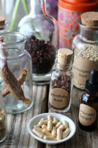 The Beginner's Guide to Adaptogens for Adrenal Support