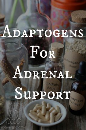 The Beginner's Guide to Adaptogens for Adrenal Support