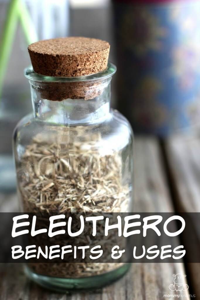Eleuthero Benefits and Uses