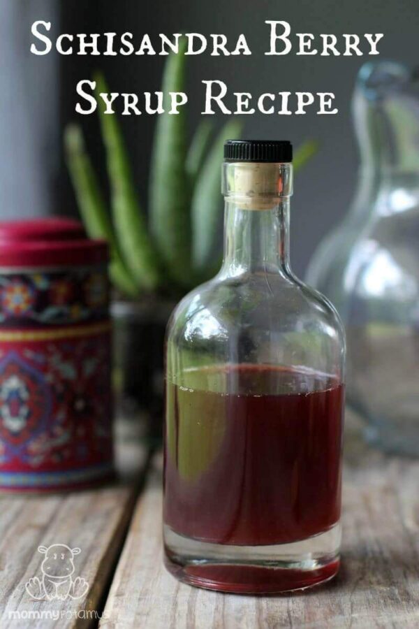 How to Make Schisandra Berry Syrup for Immune Support