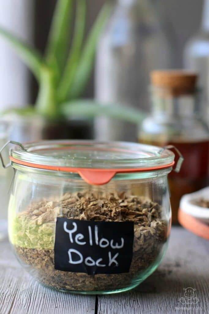 7 Health Benefits of Yellow Dock Root