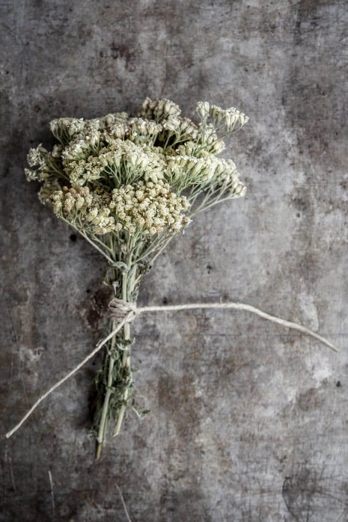 8 Yarrow Uses And Benefits (And How To Prepare It In Your Kitchen)