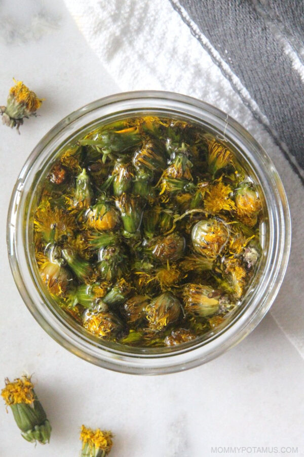 How To Make Dandelion Oil (And 5 Ways To Use It)