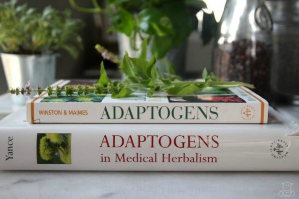 Top 16 Herb Books for Your Home Apothecary