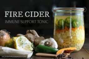 Traditional Fire Cider Recipe + 6 Ways To Use It