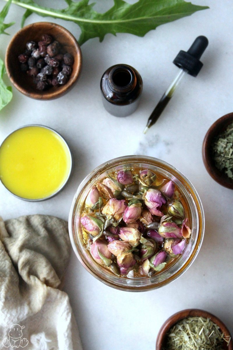 16 Ways To Make Herbal Remedies: Tinctures, Decoctions, Infusions & More
