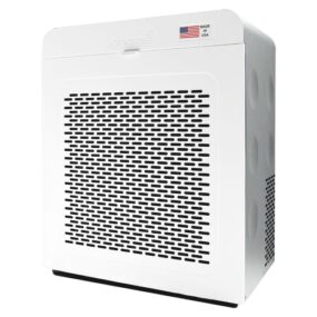 Best Air Purifiers In 2021