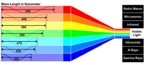 11 Health Benefits of Sunlight + FAQs