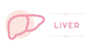 How Our Bodies Detox