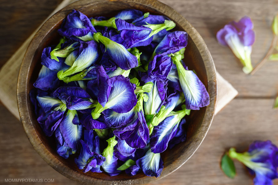 7 Benefits of Butterfly Pea Flower + Tea Recipe