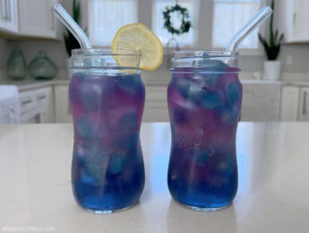 Butterfly Pea Flower Lemonade Recipe