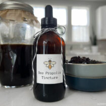 6 Benefits of Bee Propolis + DIY Tincture Recipe