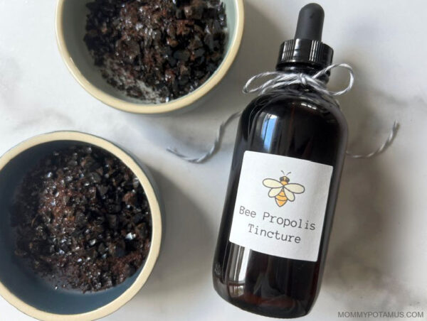 6 Benefits of Bee Propolis + DIY Tincture Recipe