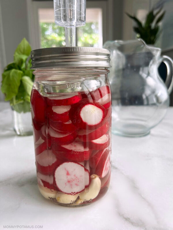 Garlicky Fermented Radishes Recipe (Pickled Radishes)