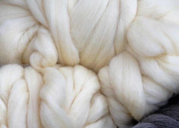 The Natural Clothing Fiber Handbook
