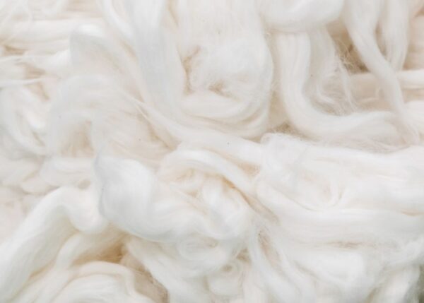 The Natural Clothing Fiber Handbook