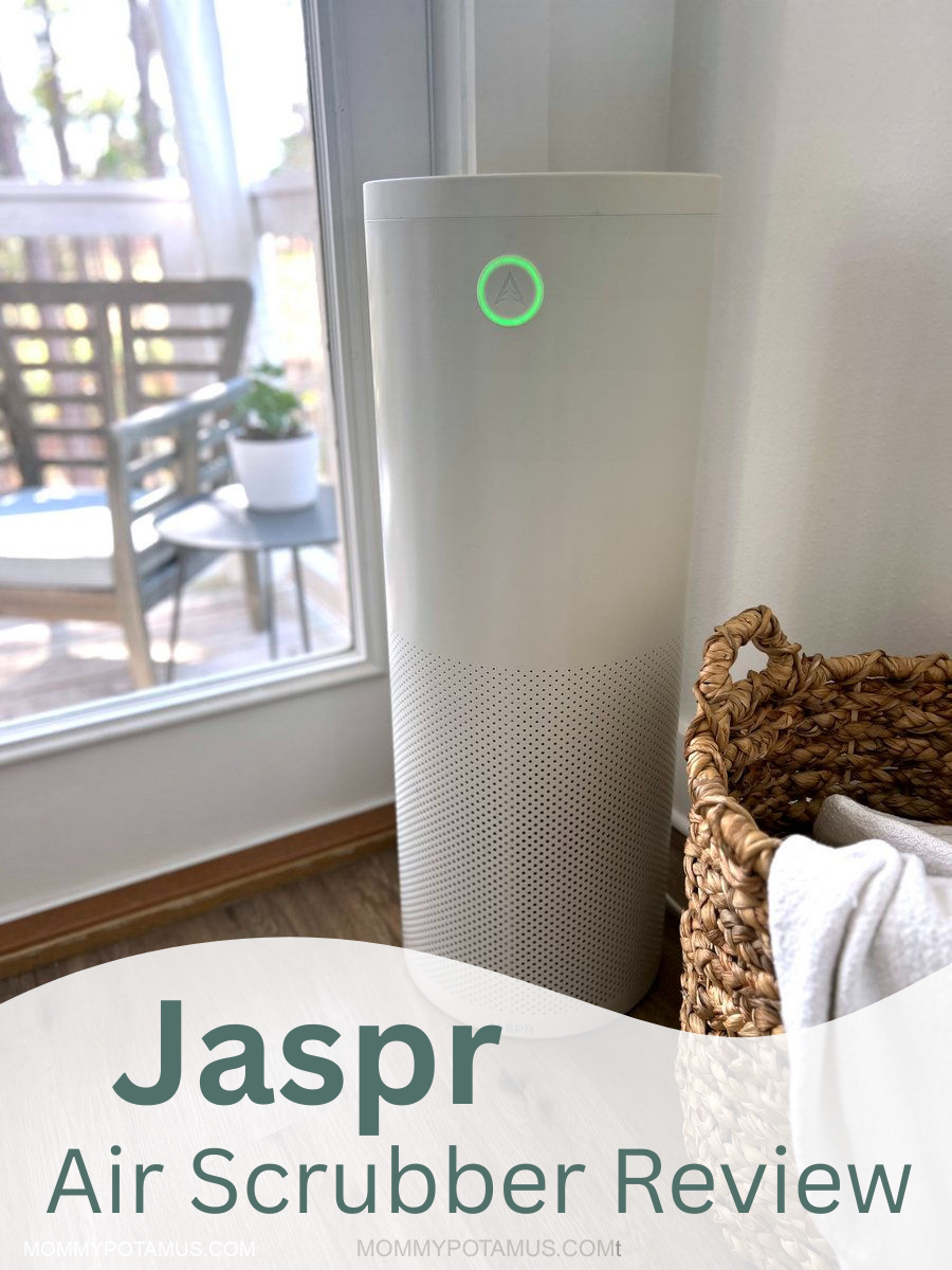 Jaspr Air Scrubber Review: My Thoughts After 18+ Months