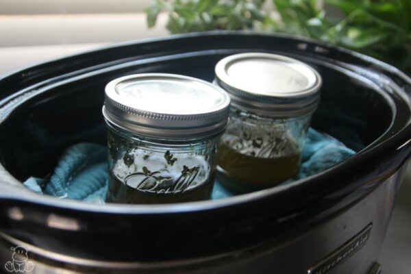 Plantain Salve Recipe (Homemade First Aid Ointment)